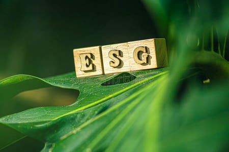 ESG on a Wood Block. Future Environmental Conservation and Sustainable ...