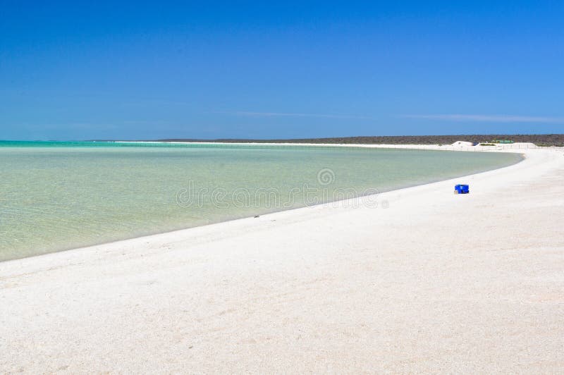 Shell Beach - Denham stock image. Image of snow, world - 149272009