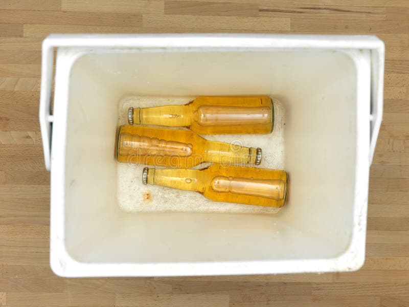 Esky stock photo. Image of case, summer, vacations, freezer - 55926426