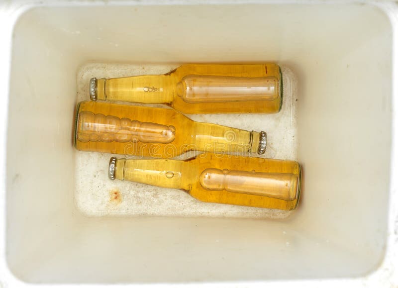 Esky stock photo. Image of handle, holidays, vacations - 56250240