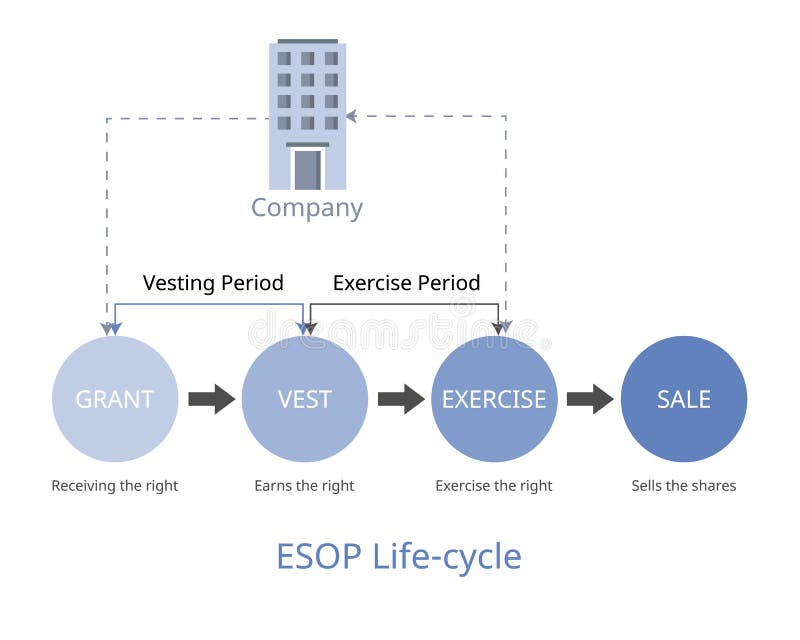 ESOP Life Cycle is Employee Stock Ownership Plan Process since Granting ...