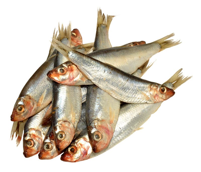 Espadines De Los Pescados Frescos Foto de archivo - Imagen de alimento ...