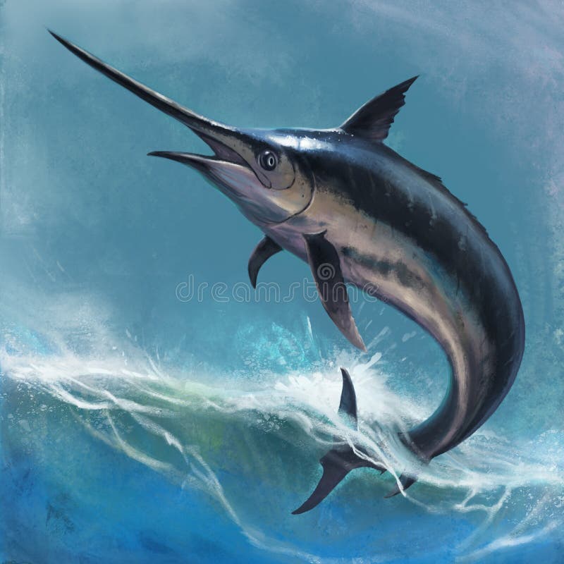 Marlin - Espadon, Isolat D'Istiophorus De Poissons De Mer De Pélerin ...