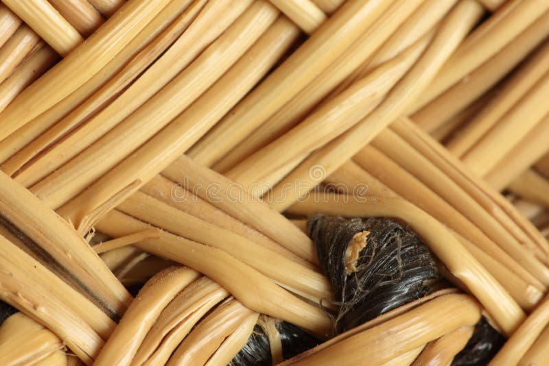 Esparto braid handmade stock image. Image of esparto - 63886231