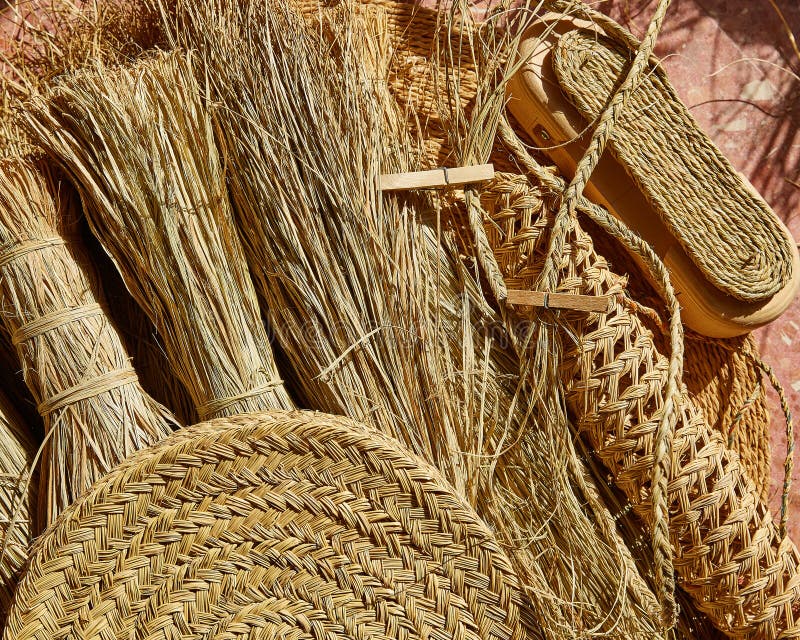 Esparto Halfah Grass Used for Crafts Basketry Stock Image - Image of ...