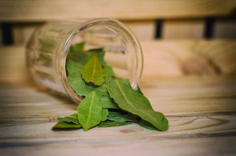 Especia De La Hoja De Laurel Foto de archivo - Imagen de cocina ...