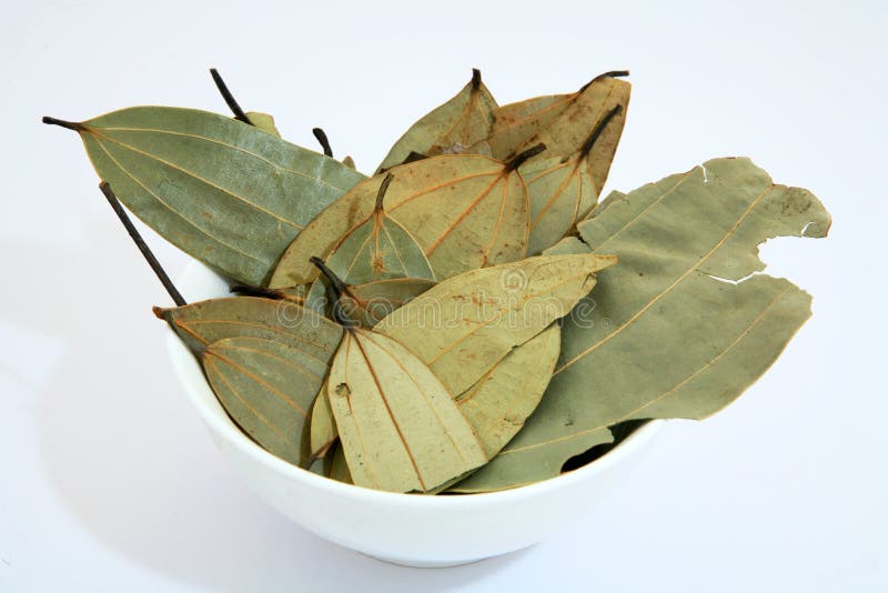 Especias 13 del indio foto de archivo. Imagen de laurel - 2397824