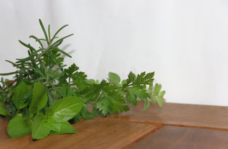 Hierbas Y Condimentos Frescos Del Jardín Imagen de archivo - Imagen de ...
