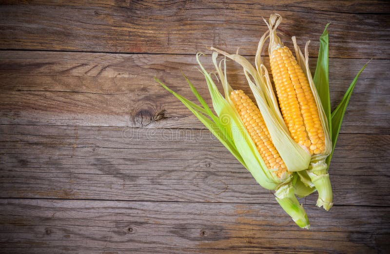 Espiga De Milho Da Vista Superior Foto de Stock - Imagem de agricultura ...