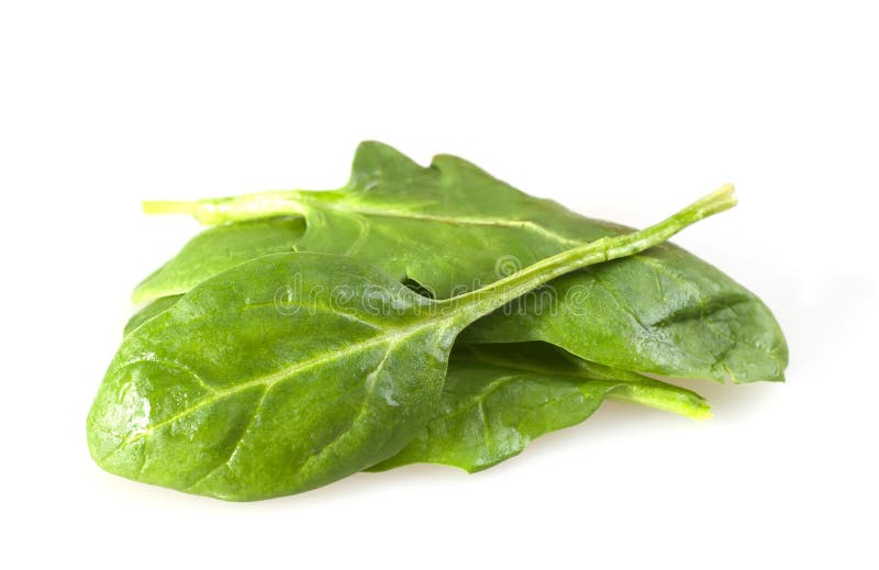 Aislante De Las Hojas De La Espinaca En La Opinión Superior Del Fondo ...