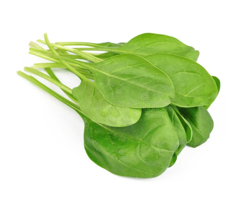 Espinaca imagen de archivo. Imagen de cocinero, agricultura - 30941689