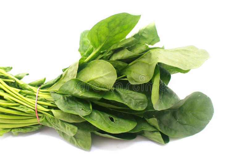 Espinaca china imagen de archivo. Imagen de verde, sangre - 55148477
