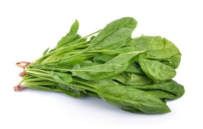 Espinaca En El Fondo Blanco Imagen de archivo - Imagen de vegetariano ...