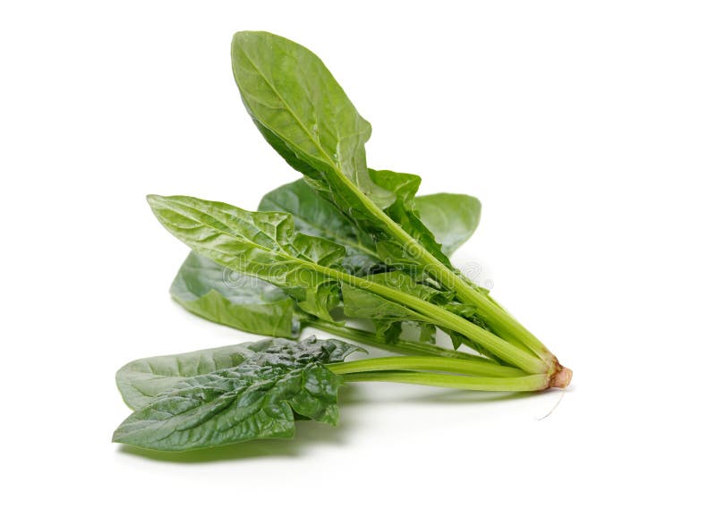 Espinaca En El Fondo Blanco Foto de archivo - Imagen de cocina ...
