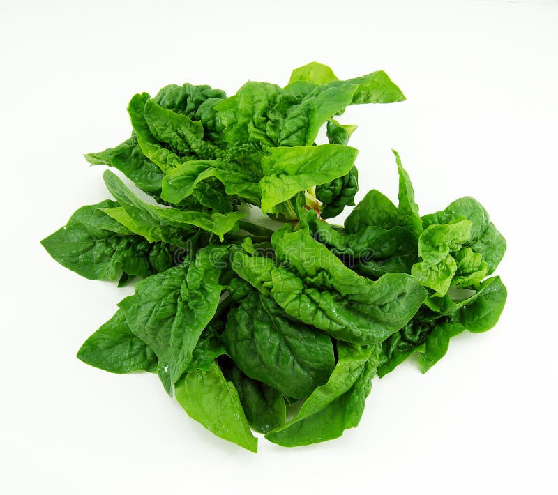 Espinaca fresca imagen de archivo. Imagen de fresco, tapa - 37644177
