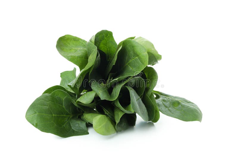 Hojas De Espinaca Crudas Frescas Sobre Fondo Blanco Foto de archivo ...