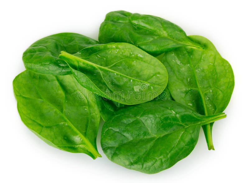 Espinaca Fresca En El Fondo Blanco Foto de archivo - Imagen de herbario ...