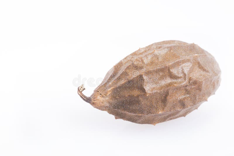 Esponja Vegetal - Operculata De La Lufa Fondo Blanco Foto de archivo ...