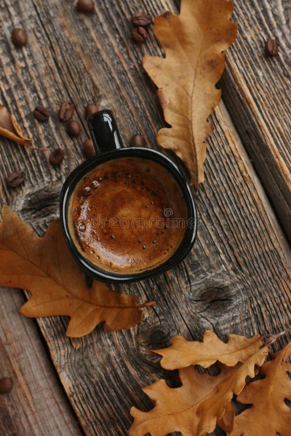 Espresso Coffee and Oak Leaves on the Table Stock Photo - Image of milk ...