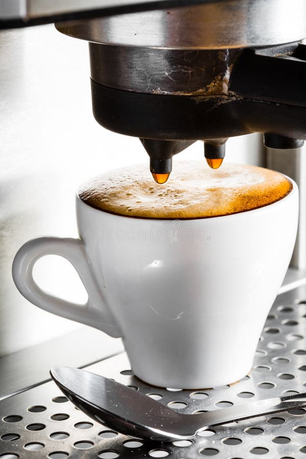 Espresso preparation stock photo. Image of barista, tool - 38519218