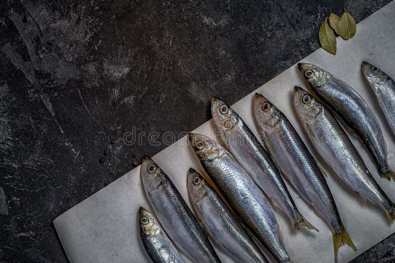 Esprot photo stock. Image du européen, marin, poissons - 86745110