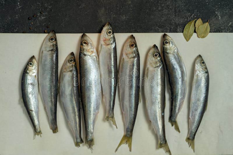 Esprot image stock. Image du nutrition, fermer, normal - 86745355