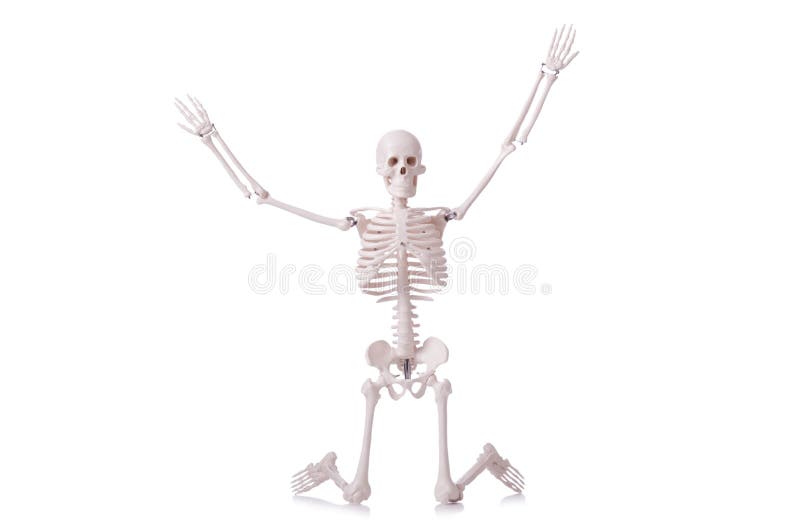 Esqueleto aislado imagen de archivo. Imagen de pecho - 29670673