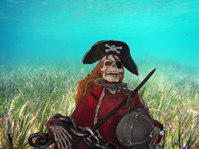 Esqueleto Del Pirata Con El Loro Imagen de archivo - Imagen de thomas ...