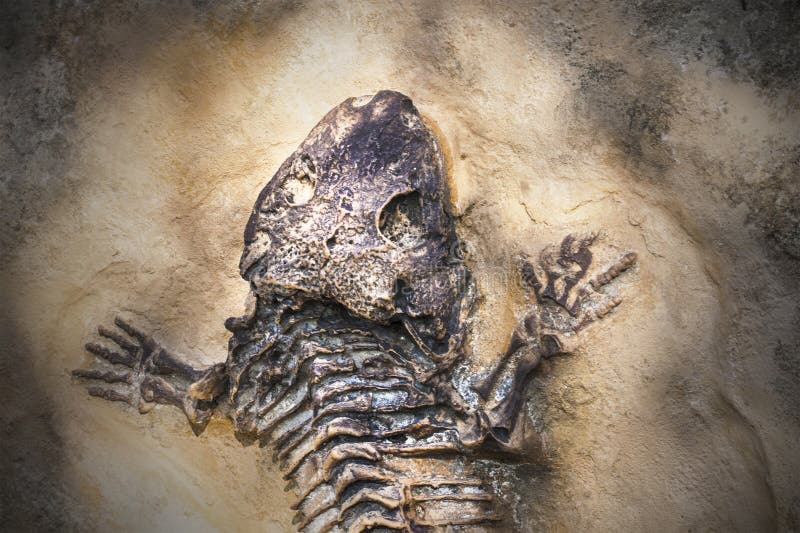 Dinossauro extinto antigo foto de stock. Imagem de dinossauros - 55455308