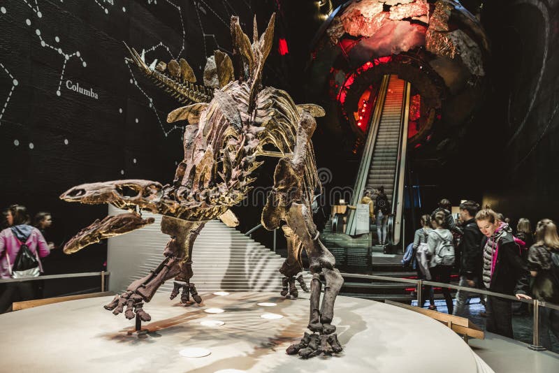 Fóssil De Dinossauro - Eryosuchus Imagem de Stock Editorial - Imagem de ...