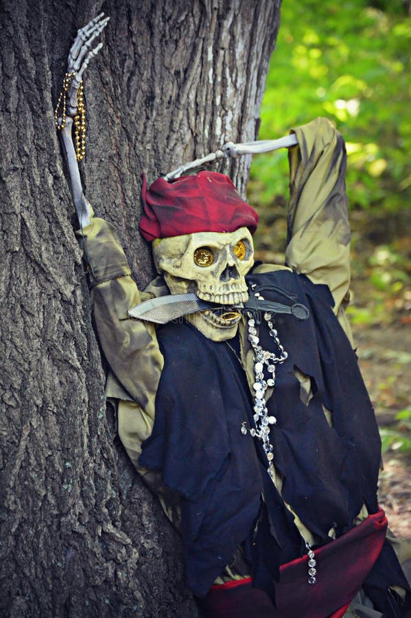 Esqueleto do pirata foto de stock. Imagem de wiswisconsin - 60505128