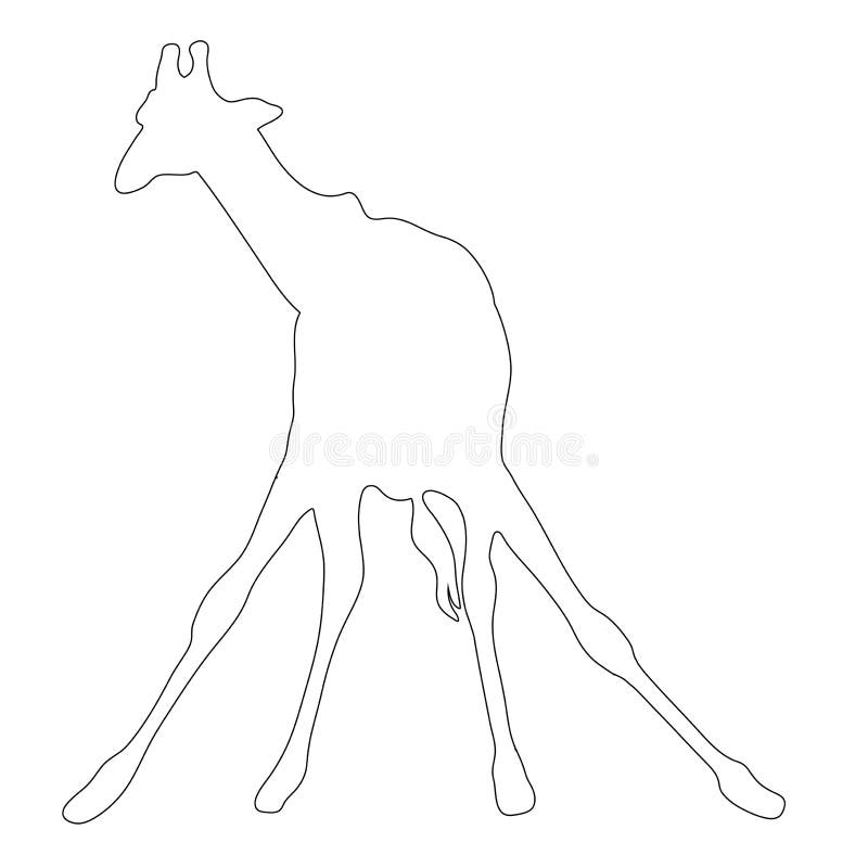 Esquema De Una Jirafa Africana Ilustración del Vector - Ilustración de ...