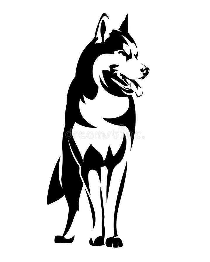 Esquema Del Vector Negro De Perro Negro Siberiano En Pie Ilustración ...