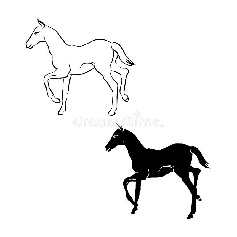 Esquema Y Silueta Del Potro Ilustración del Vector - Ilustración de ...