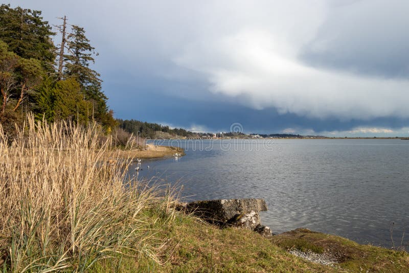 Esquimalt Lagoon from Royal Roads University Stock Photo - Image of ...