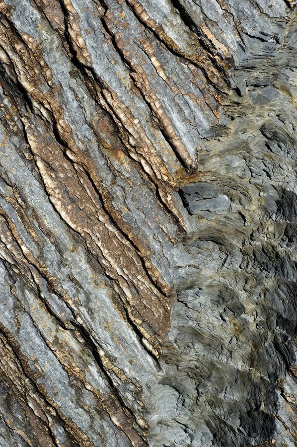 Esquisto imagen de archivo. Imagen de travieso, negro - 12655879