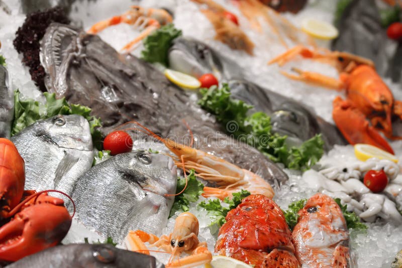 Frische Fische Und Essbare Meerestiere Stockbild - Bild von frisch ...