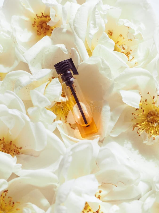 Essence of Rose Flowers in a Mini Bottle. Aromatherapy for Relaxation ...
