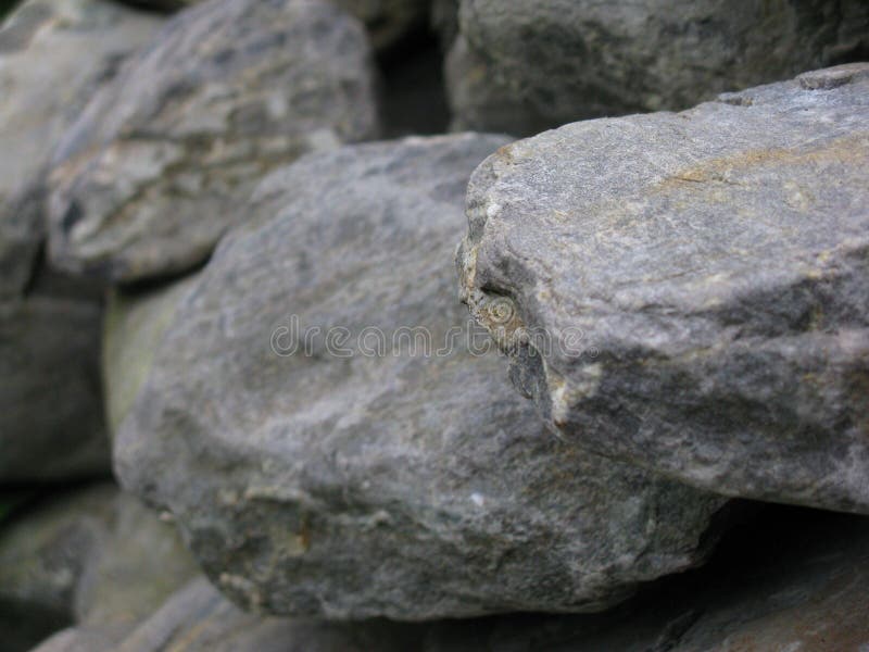 Essences of the Earth: Stone Collection Stock Image - Image of nature ...