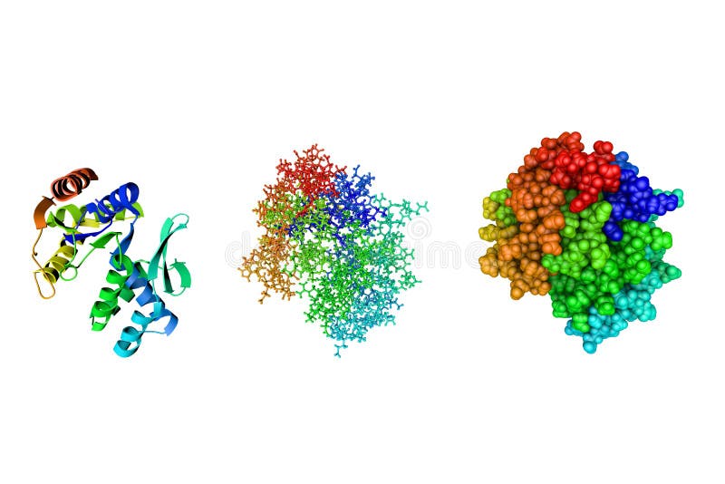 CMP Kinase of Streptococcus Pneumoniae. Crystal Structure and Molecular ...