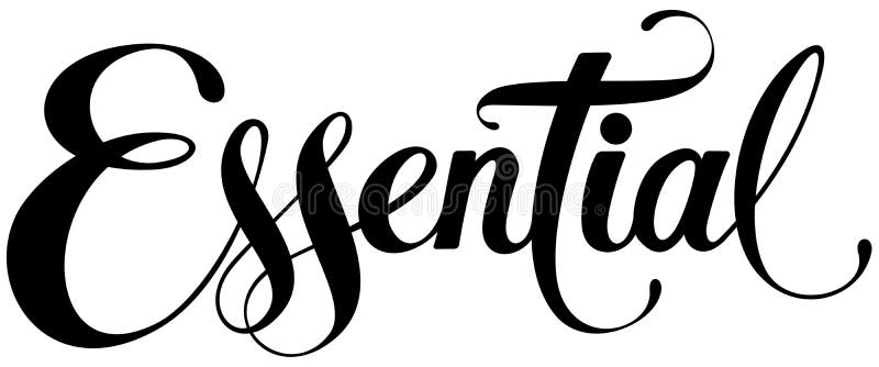 Essential - Custom Calligraphy Text Stock Vector - Illustration of ...