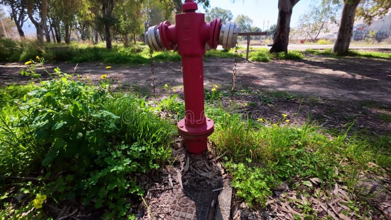 Essential Fire Hydrant in a Rural Forested Area Stock Video - Video of ...