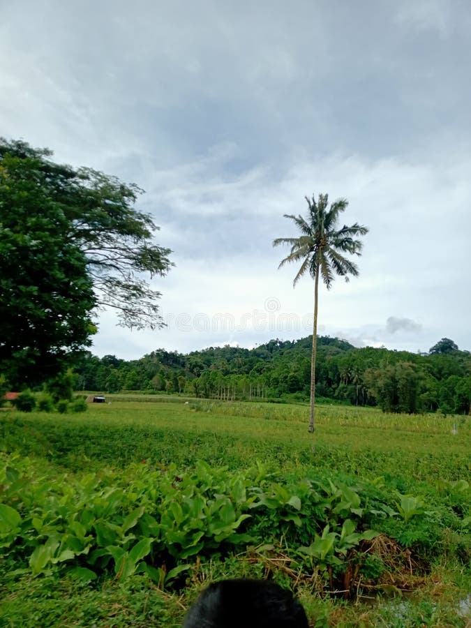 Essential of Humanity& X27;s Nature Boundaries Stock Photo - Image of ...