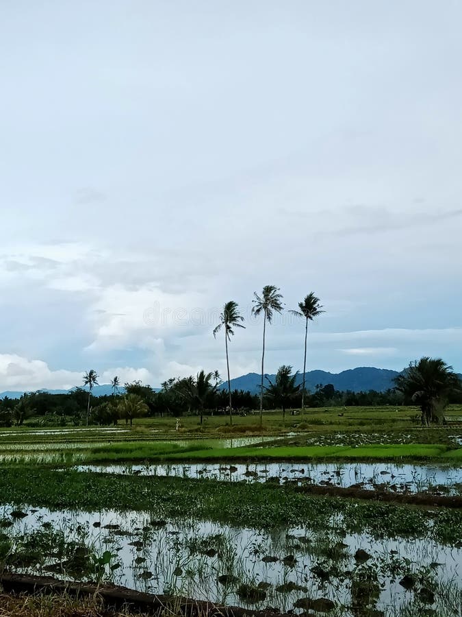 Essential of Humanity& X27;s Nature Boundaries Stock Photo - Image of ...