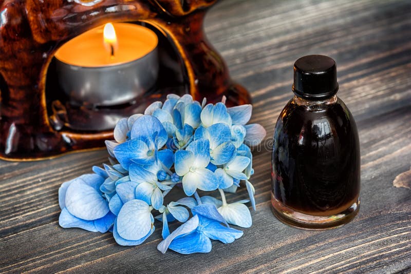 Essential hydrangea oil stock photo. Image of massage - 78854274