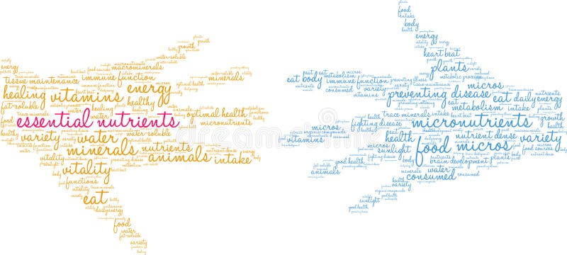 Essential Nutrients Word Cloud Stock Vector - Illustration of health ...