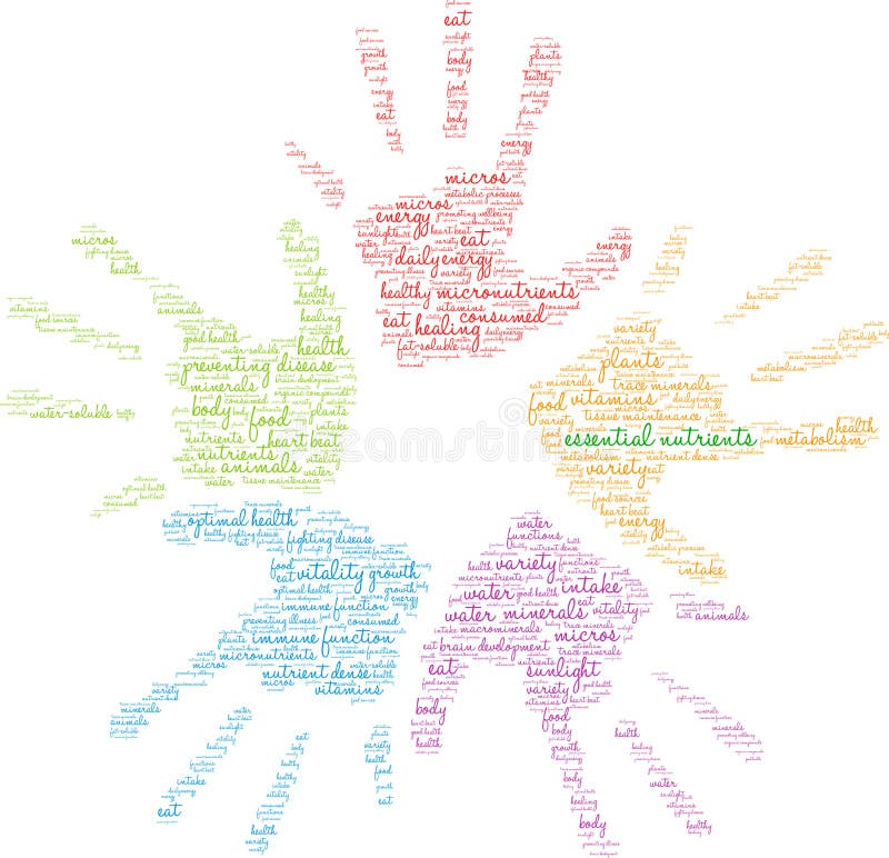 Essential Nutrients Word Cloud Stock Vector - Illustration of food ...