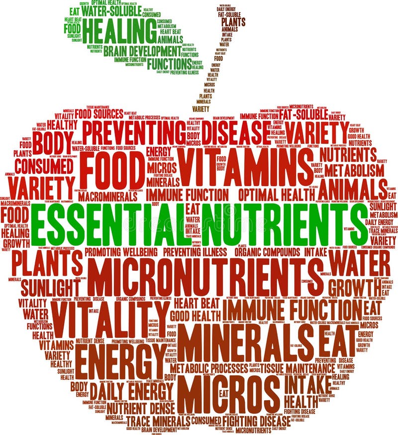 Essential Nutrients for Kidneys Health Including Natrium, Magnesium ...
