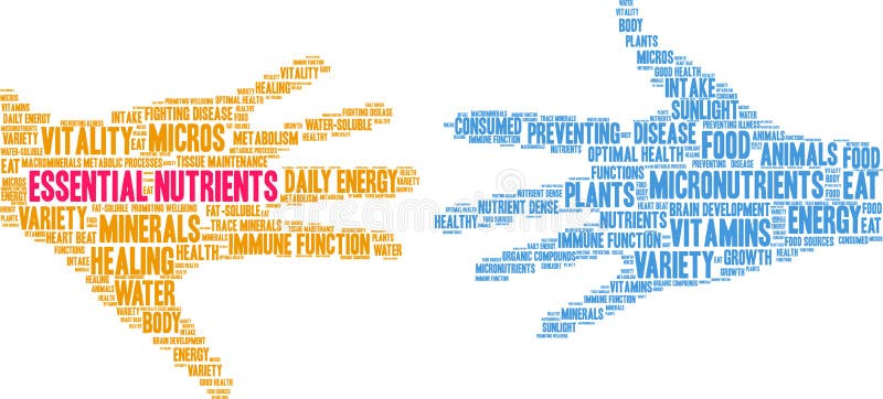 Essential Nutrients Word Cloud Stock Vector - Illustration of ...