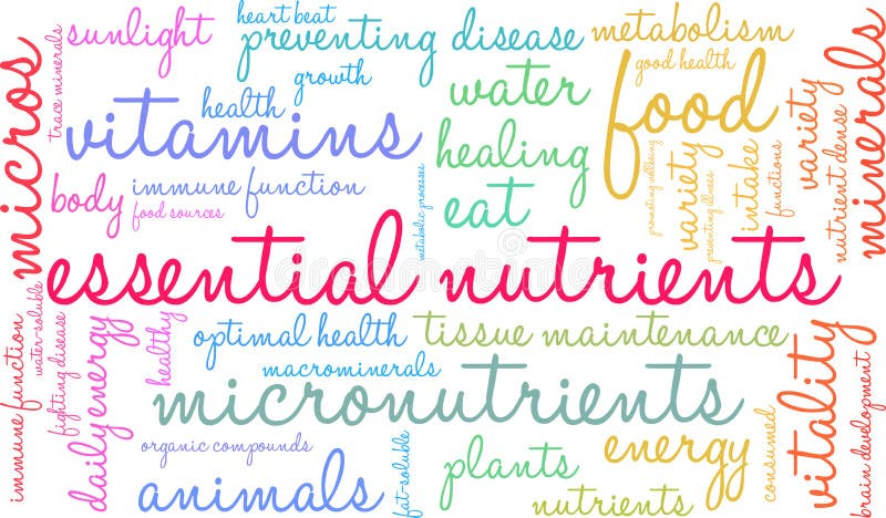 Essential Nutrients Word Cloud Stock Vector - Illustration of disease ...